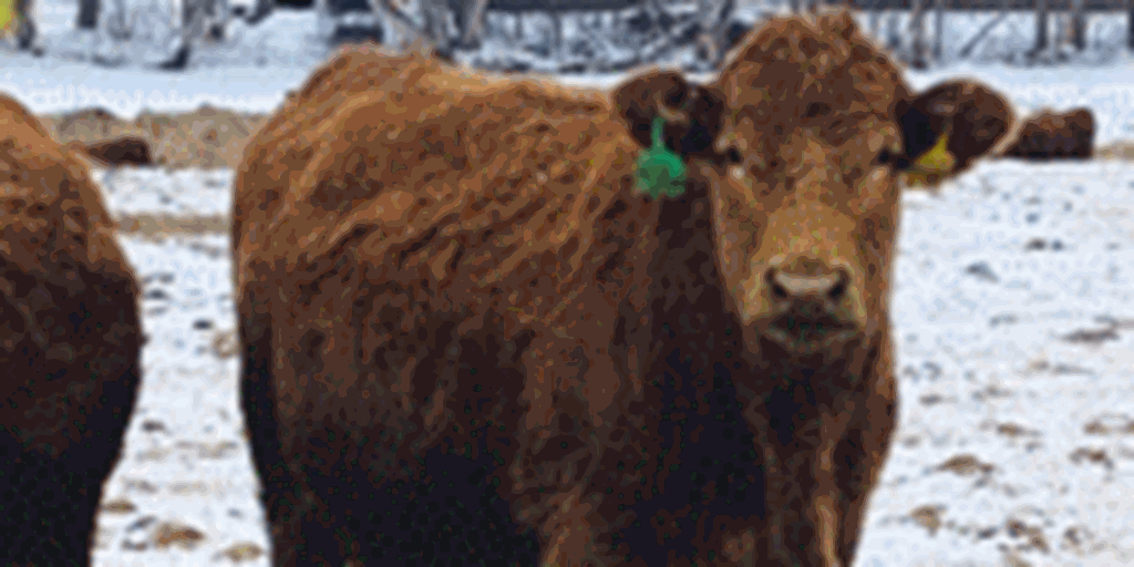 Listings Cattle Range